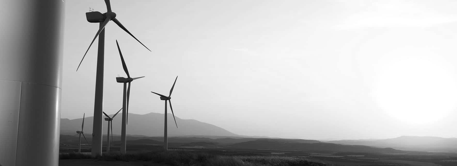 Meet the Team | Climate Capital’s Renewable Energy Experts